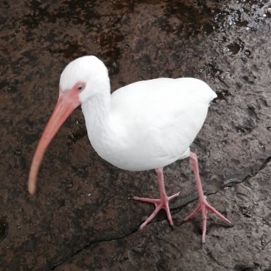 aquaka | Hypixel Forums