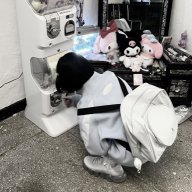 Housing - New Plot Size, Custom NPCs, Item Editor, and more! | Hypixel Forums