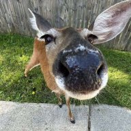 How do I regen mana fast? | Hypixel Forums