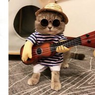 Underground Lab Bug | Hypixel Forums