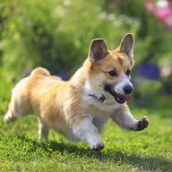 [GUIDE] Pit Maps and Rotation | Hypixel - Minecraft Server and Maps