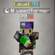 Guide - Guide - How to get Catacombs Levels fast! | Hypixel Forums