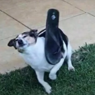 Guide - What is the difference betweeen a personal compactor 4000, 5000 ...