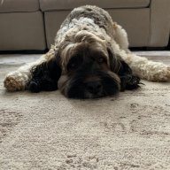 Best reforge for swords? | Hypixel - Minecraft Server and Maps