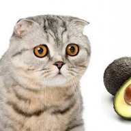 How to get Maddox batphone | Hypixel Forums