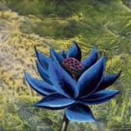 [GUIDE] Pit Maps and Rotation | Hypixel - Minecraft Server and Maps