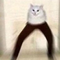 Best hotm tree for money? | Hypixel Forums