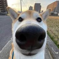 How to get rift necklace in overworld | Hypixel Forums