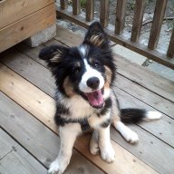 Daedalus axe | Hypixel Forums