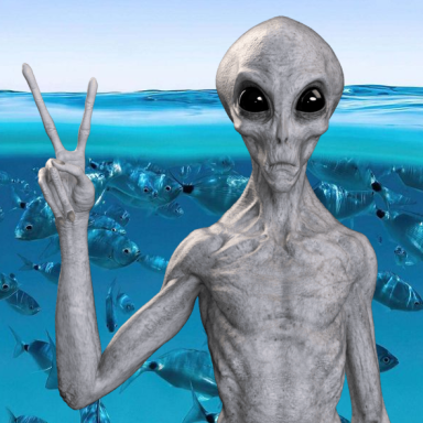 RilGames | Hypixel Forums