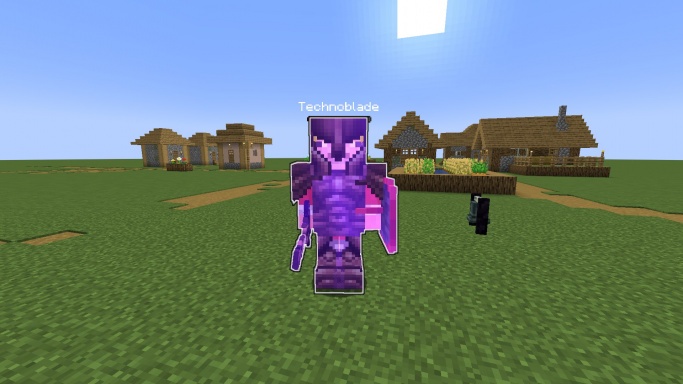 Final_Brain_Cell | Hypixel Forums